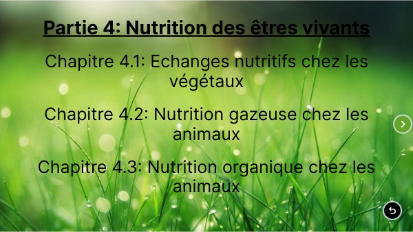 C4 Partie 4 | Genially