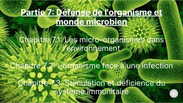 C4 Partie 7 | Genially