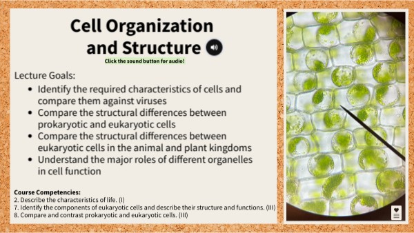 Week 5: Organization & Structure of a Cell