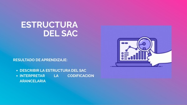 ESTRUCTURA DEL SAC | Genially