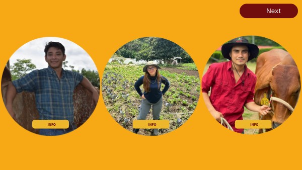 Guía Media Kit Digital | Genially