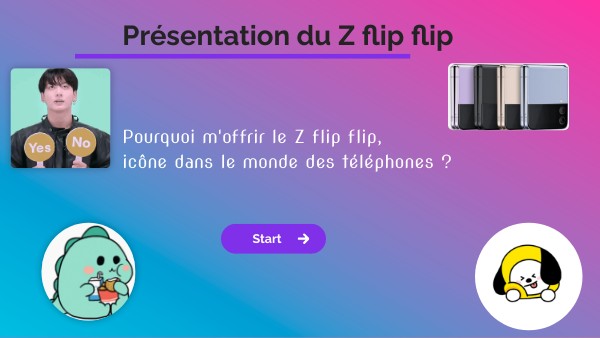 Pourquoi le z flip flip
