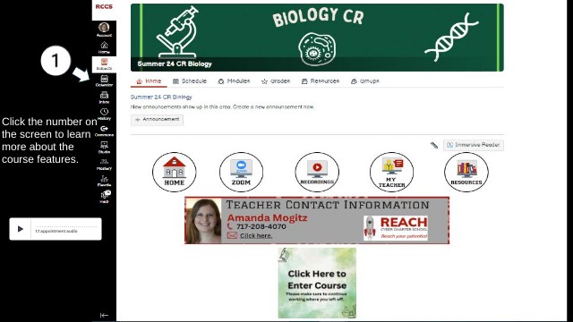 1:1 Work Session Lesson | Genially