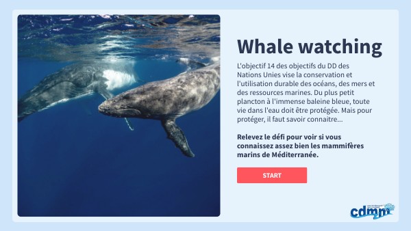 Whale watching | Genially