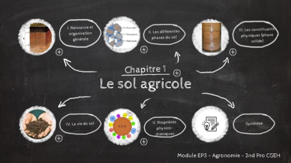 Chapitre 1 - Le sol