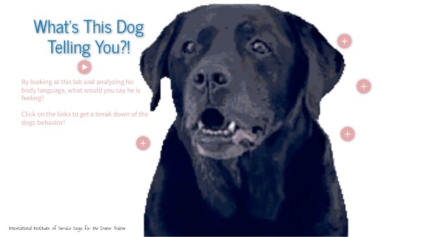 Body Language | Genially