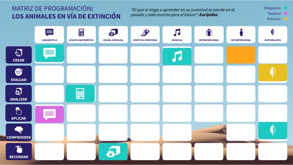 Matriz de programación. | Genially