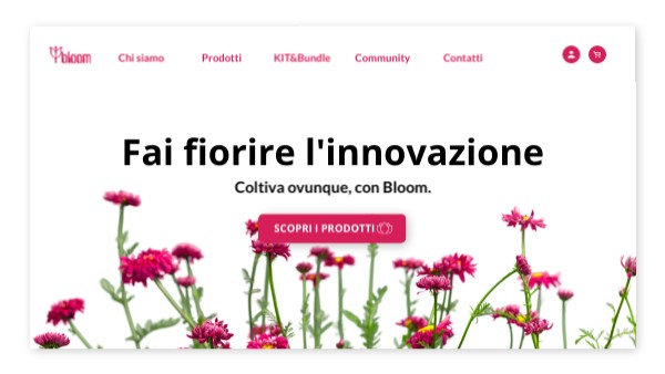 Bloom_Website