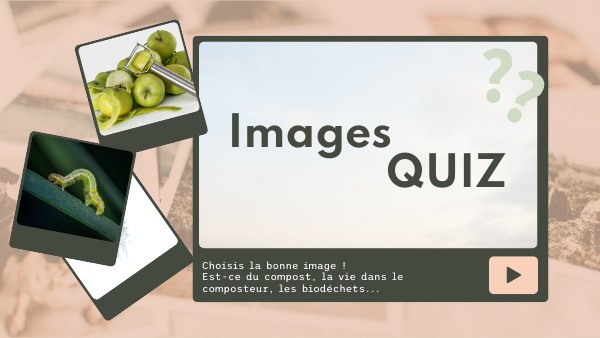 Quiz images