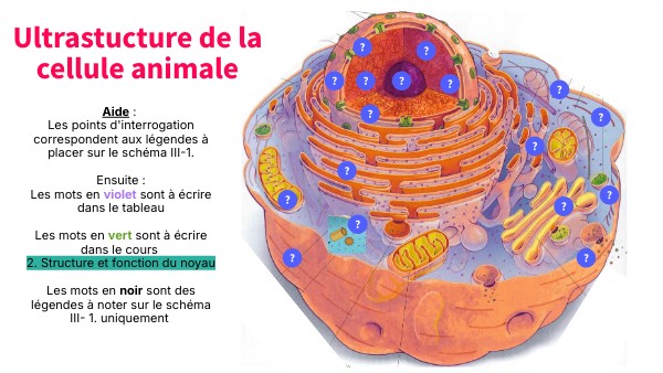 Ultrastructure de la cellule animale