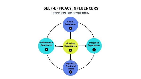 Self Efficacy Influencers