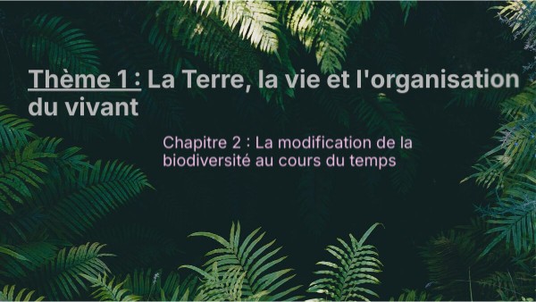 Th1 C2 seconde | Genially