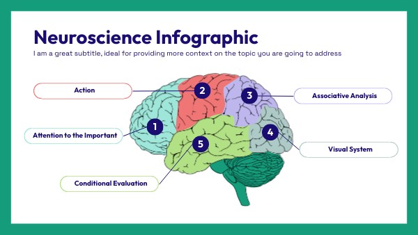 Neuroscience Infographic | Genially