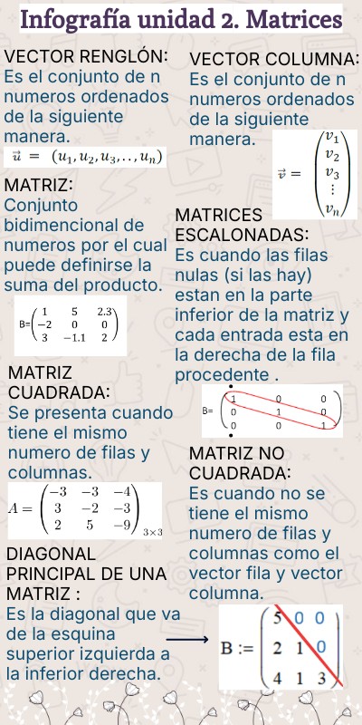Infografia Matrices algebra lin. judith conde