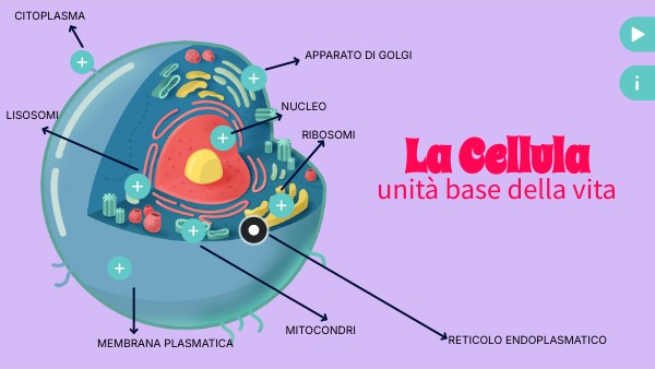 Poster interattivo cellula | Genially