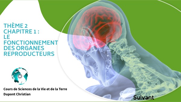 Seconde T2 C1 Le fonctionnement des organes reproducteurs | Genially