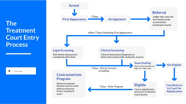 The Treatment Court Entry Process