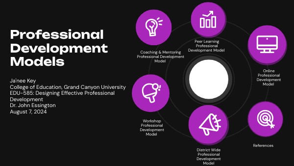 Professional Development Graphic Organizer