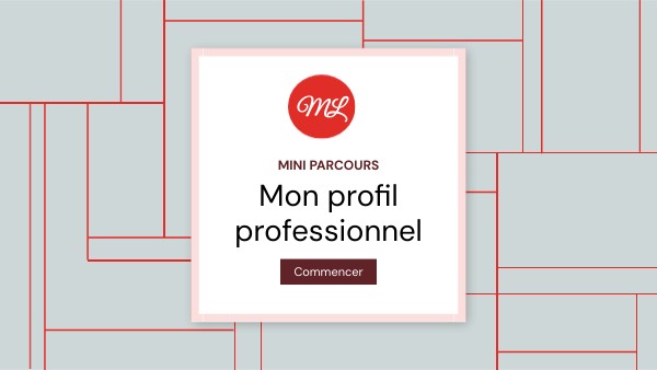 Mon profil professionnel