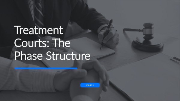 The Phase Structure