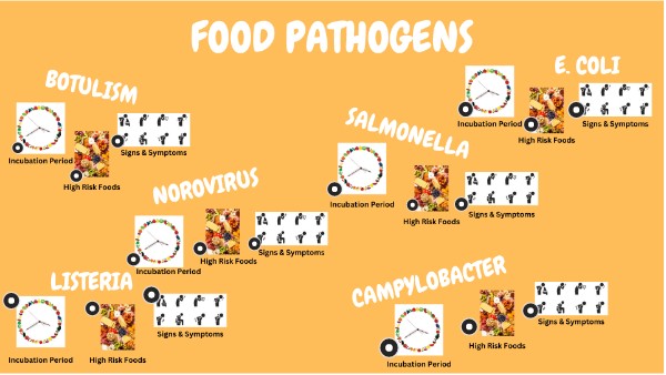 Food Pathogens | Genially