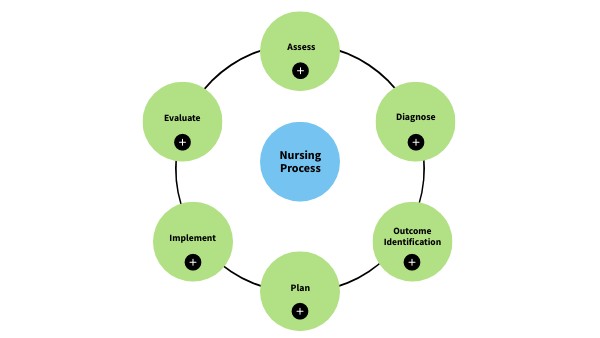 NUrsing Process