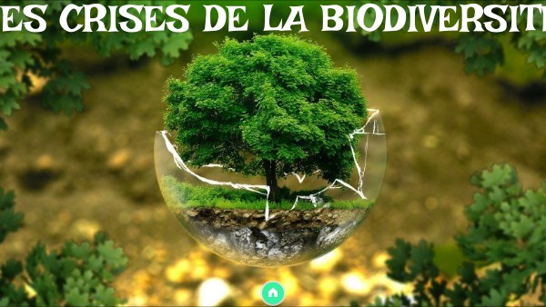 Les crises de la biodiversité