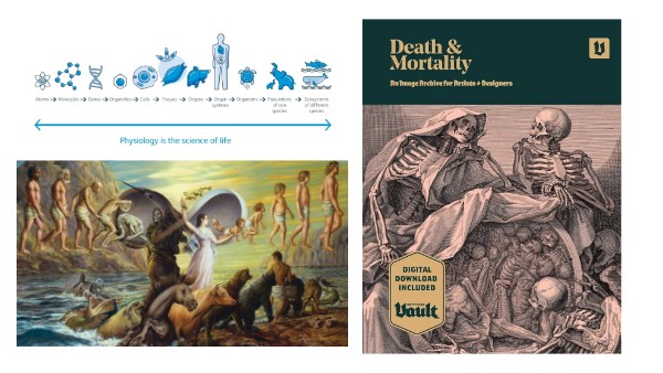 The Value of a Sherpa Life | Genially