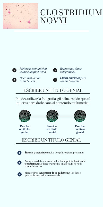 Infografía Clostridium Novyi | Genially