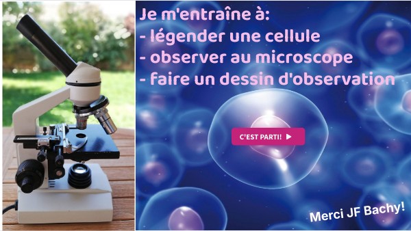 SVT 6ème: microscopie, DO et légender cellule | Genially