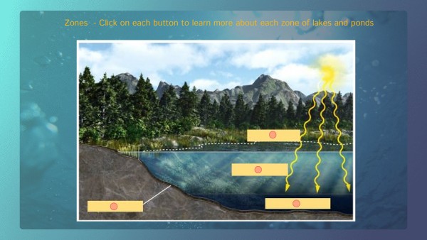Lake/Pond Zones