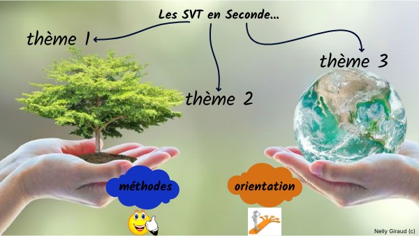 Copie - programme seconde | Genially