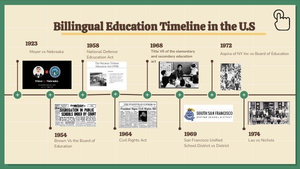 Education Timeline