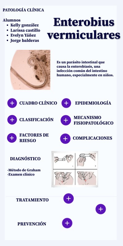 Enterobius vermiculares | Genially