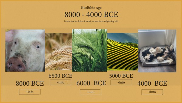 Neolithic Age Timeline