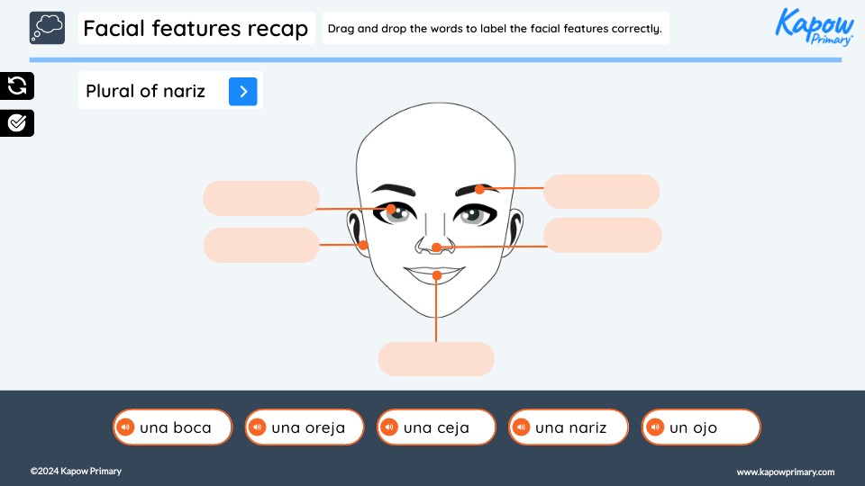 L4 Facial features recap