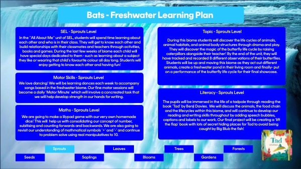 Bats - Freshwater Learning Plan 2024 Classes