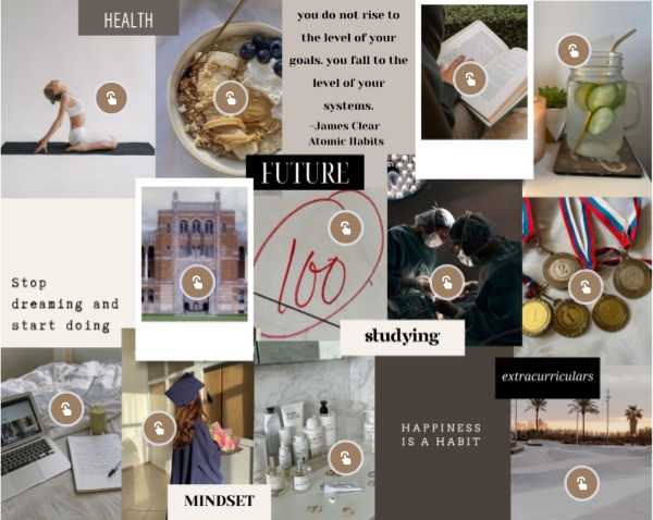 Health Science Vision Board