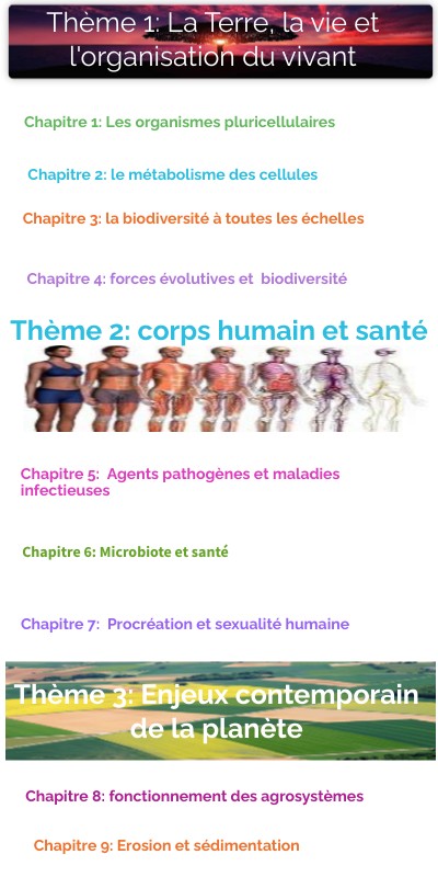 Seconde 2024-25 | Genially