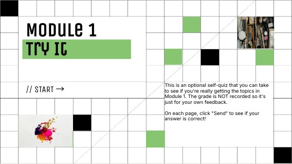 Module 1 Try It