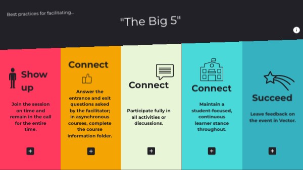 Big 5 for Facilitators | Genially