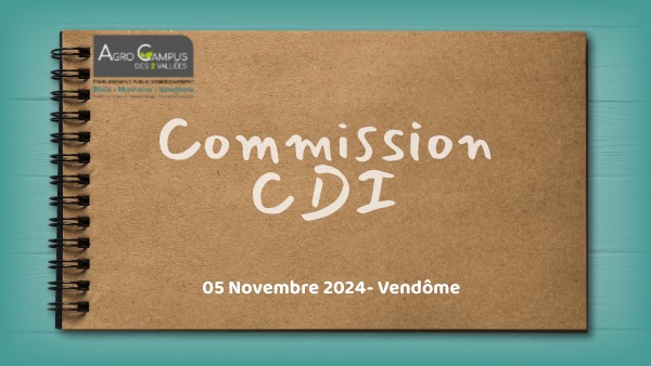Commission CDI 2024-25 | Genially