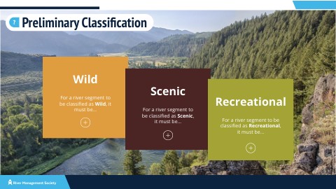 Preliminary Classification