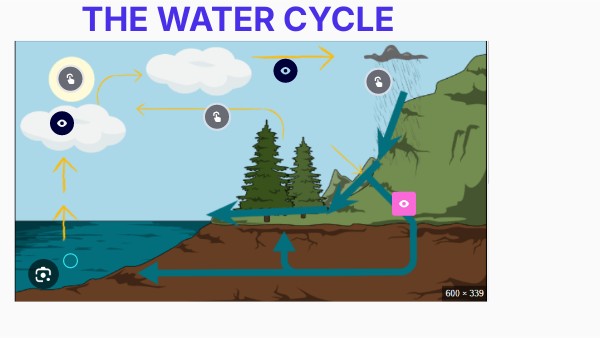 THE WATER CYCLE | Genially