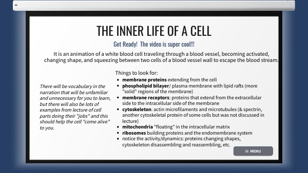 Inner life of a cell video