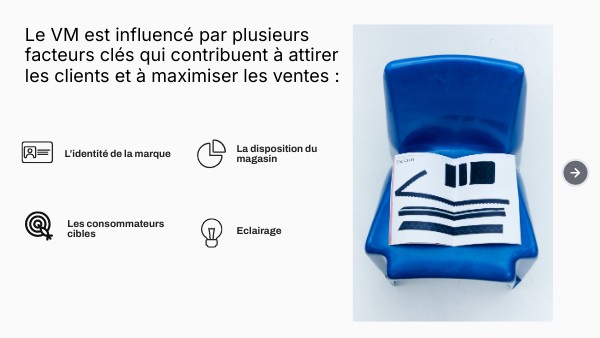 Module 1 - Les 10 facteurs qui influencent le VM