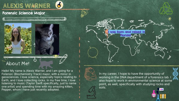 Animated Chalkboard Horizontal Infographic