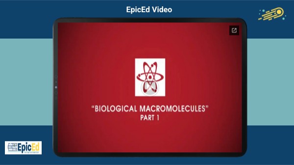 Bio A 2.5: Macromolecules Part 1