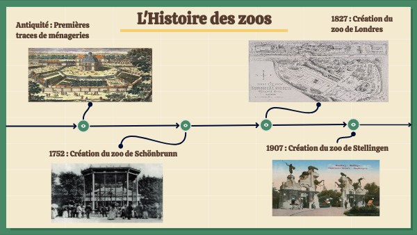 Histoire des Zoos | Genially