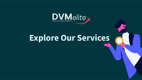 DVM Elite Services